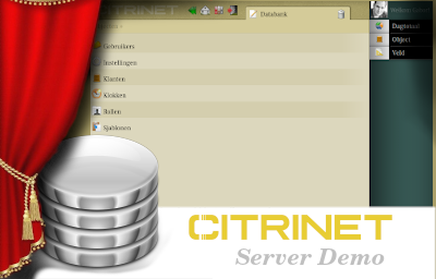 Localized Programming Language Citrine