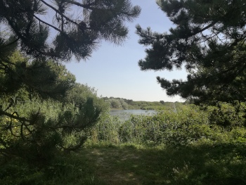 Download | Citrine Programming Language